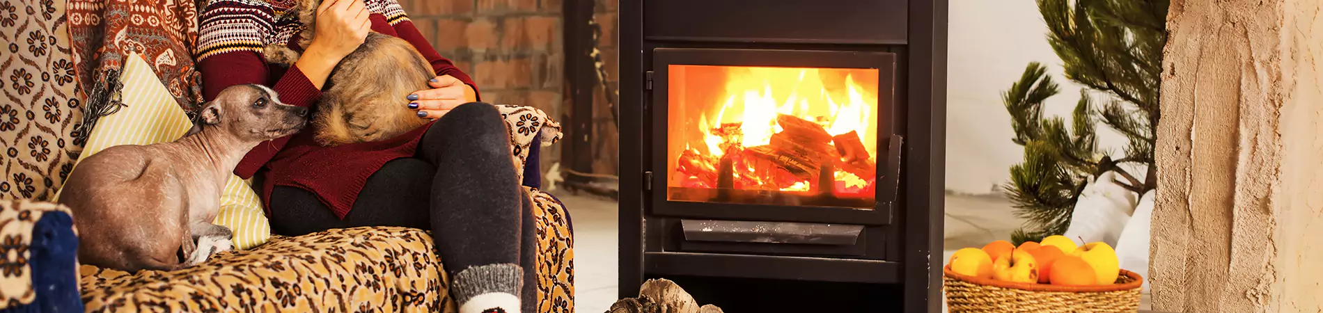 Travis Industries Fireplace Vancouver, British Columbia | Travis ...